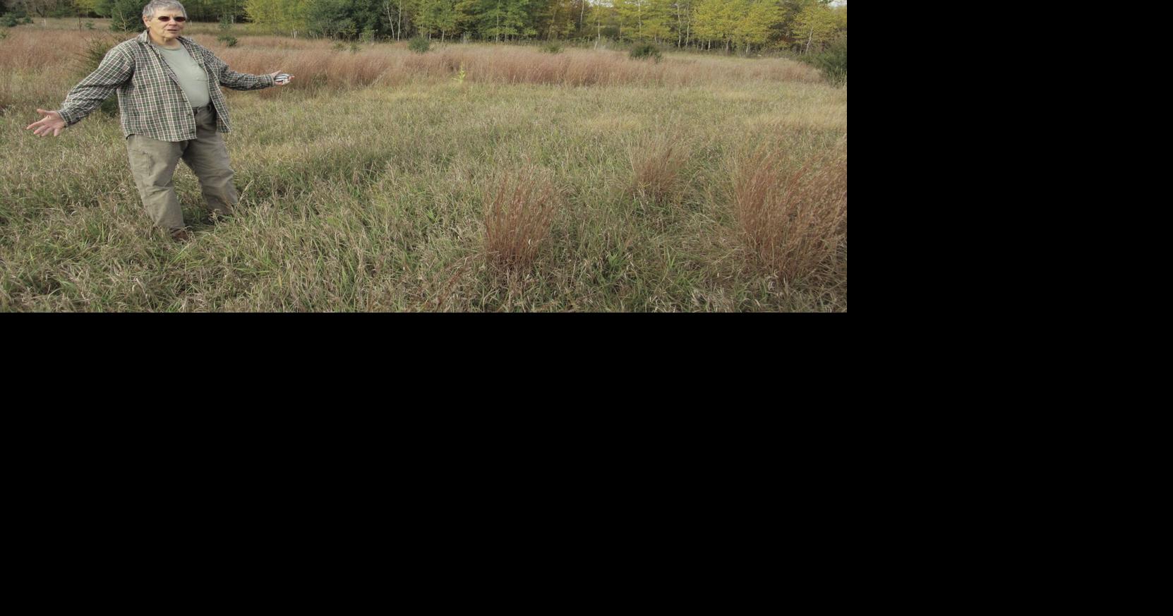 Jacqui Baker recognized for outstanding work in conservation | Free ...