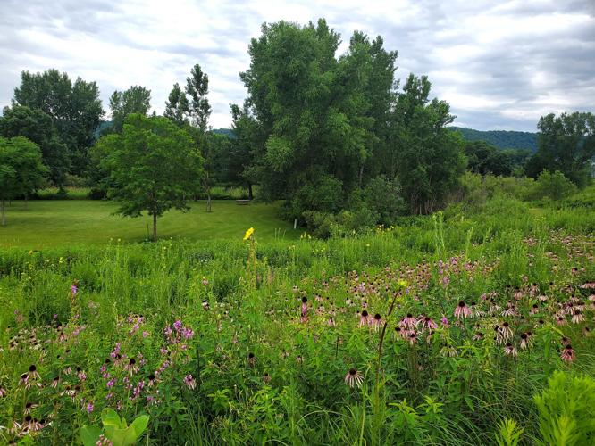Root River Trail is in full bloom in Houston, will host 4th annual Ring ...