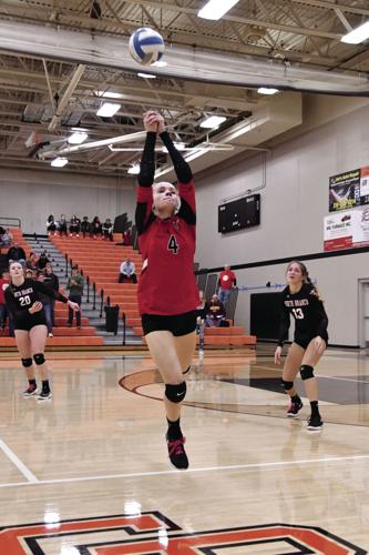 Area volleyball teams see seasons end in sections | Sports ...
