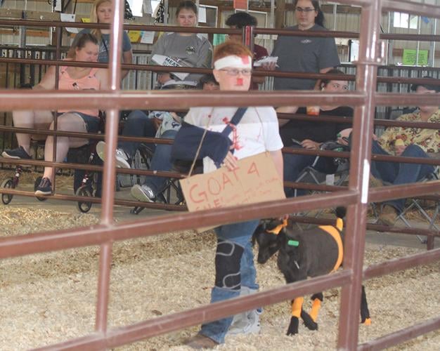 Barnyard beauties shine at Morrison County Fair animal dress-up contest ...