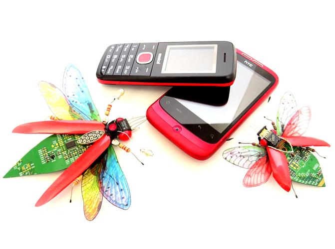 Community Coffee Break: Caledonia R-G-U-S News Radio | Community ...