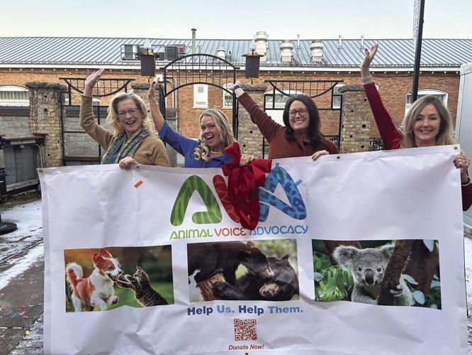Animal Voice Advocacy celebrates official launch | Business ...