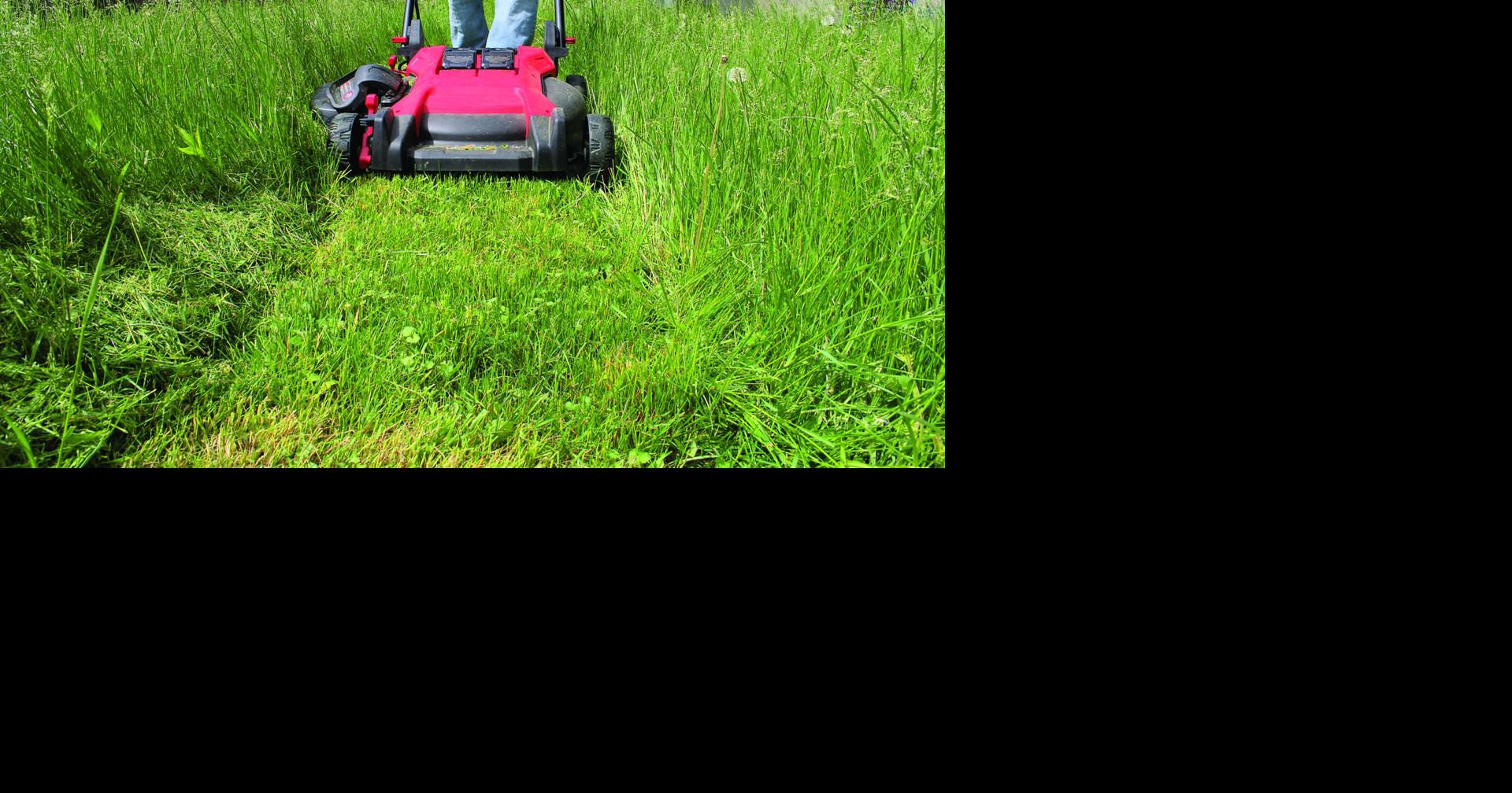 Less mowing allows more flower-growing | Community | hometownsource.com