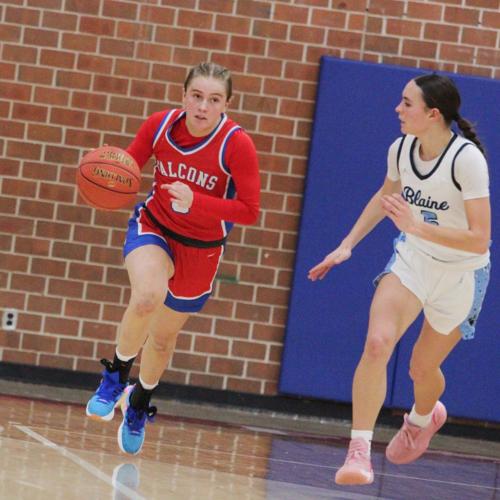 Talented Falcons work toward consistency | Sports | hometownsource.com
