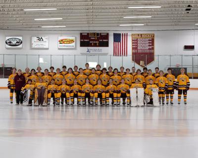 Sports Preview: New head coach Ekman to lead boys hockey | Sports ...