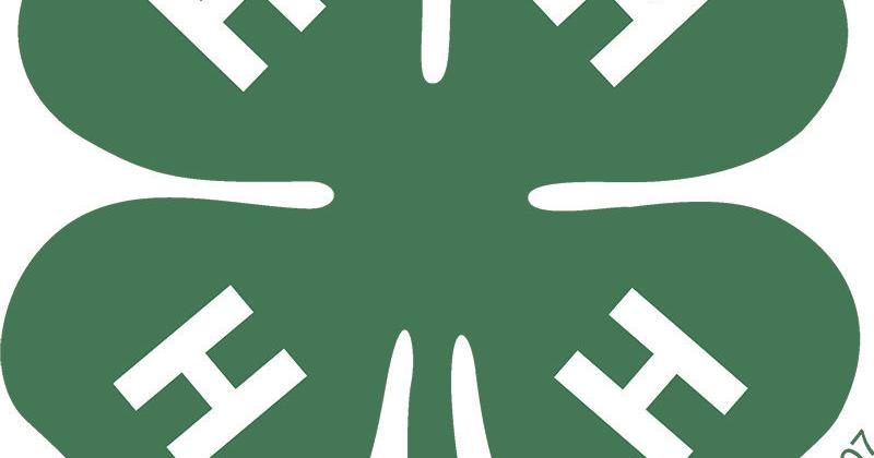Cloverbuds offers fun, engaging activities for kids | Monticello Times ...