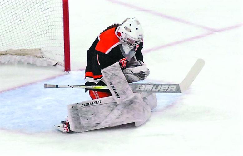 Tigers on the rise, and they expect it to continue | Sports ...