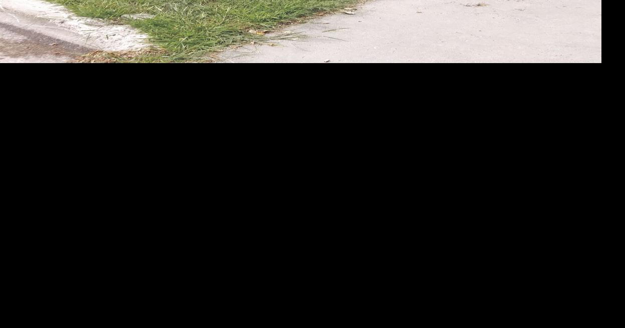 Heritage Center receives old band shell as donation | Community ...