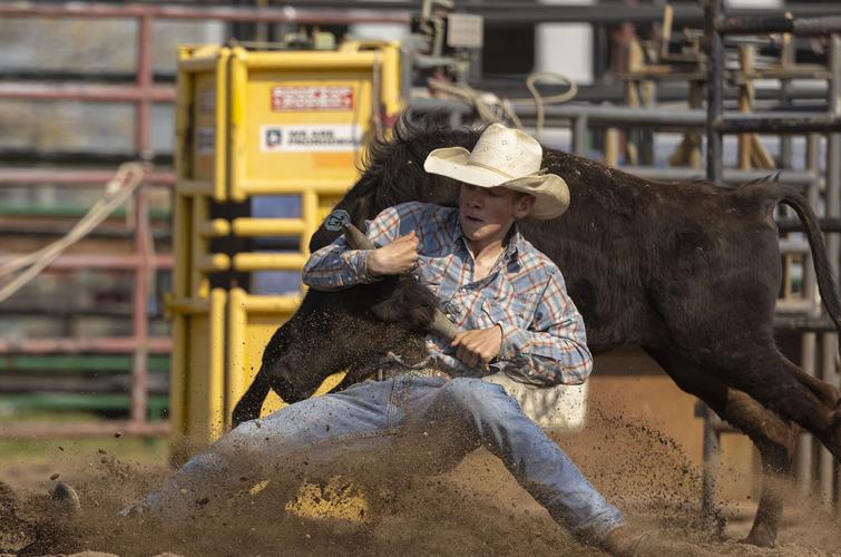 Royalton teen named Minnesota champion in five rodeo events ...