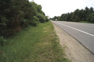 Spot mowing, spraying for noxious weeds begins June 15 | Government ...