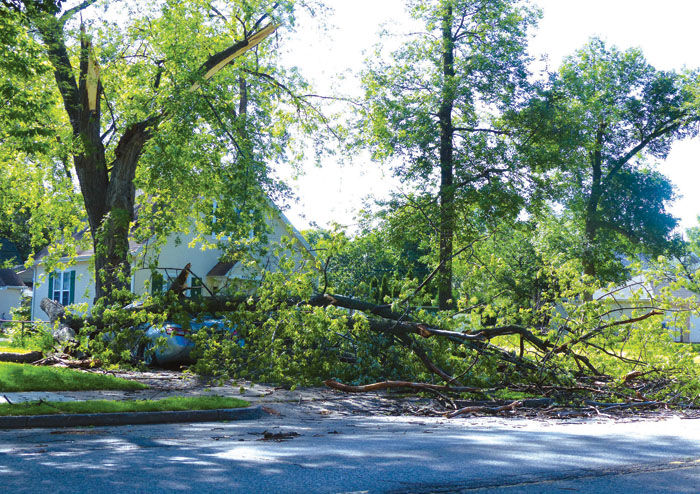 Trees down | Local News | hometownsource.com