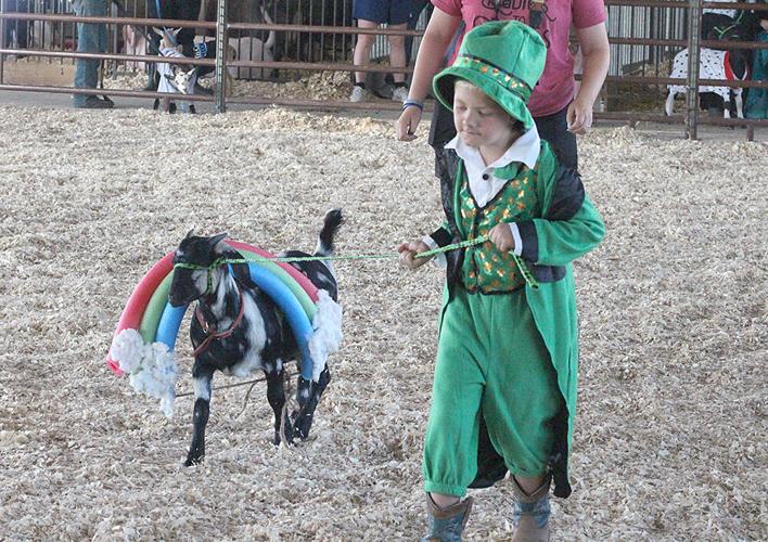 Animal Dress Up Contest | Photos & Video | hometownsource.com