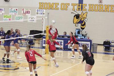 White Hawks volleyball off to strong start | Sports | hometownsource.com