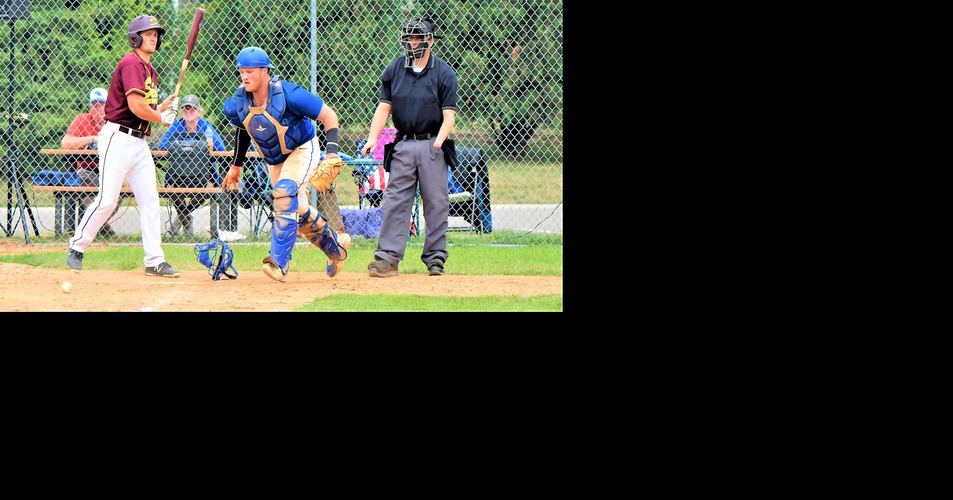 Hamel Hawks earn return trip to state | Sports | hometownsource.com