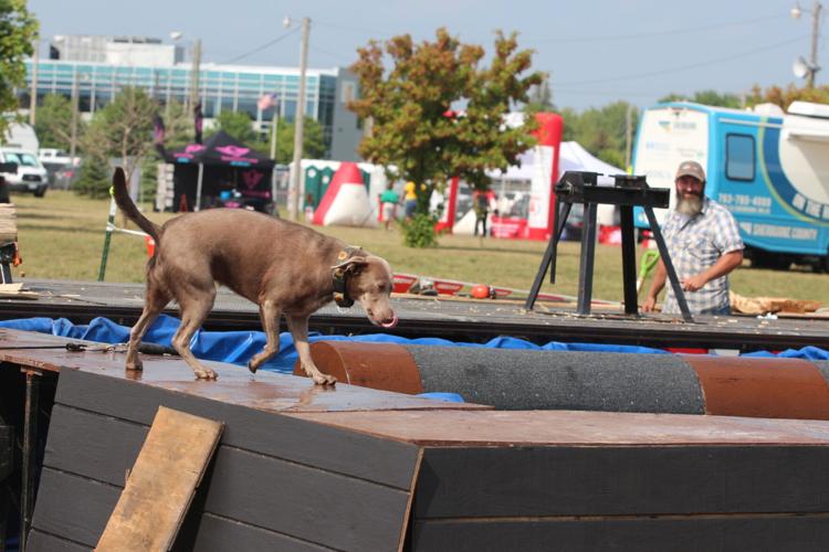 Sherburne County Fair schedule for Thursday, July 14 | Elk River Star ...