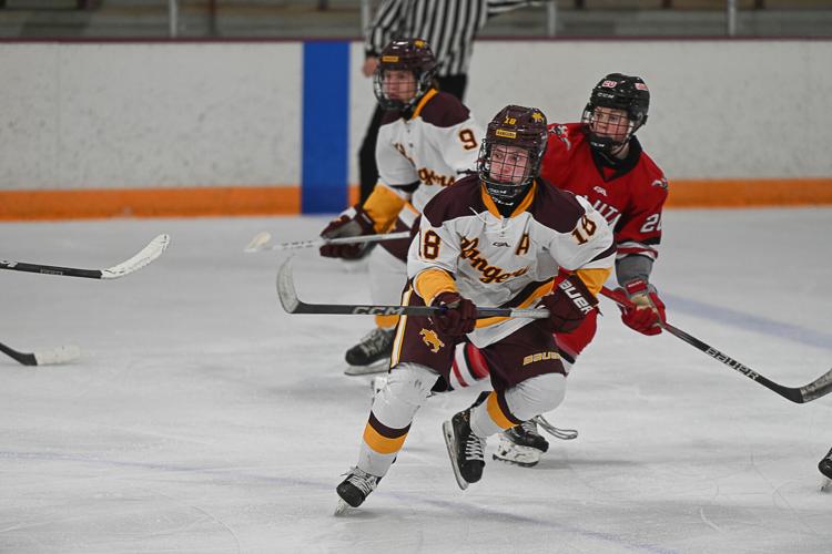 Boys hockey turns around season | Sports | hometownsource.com