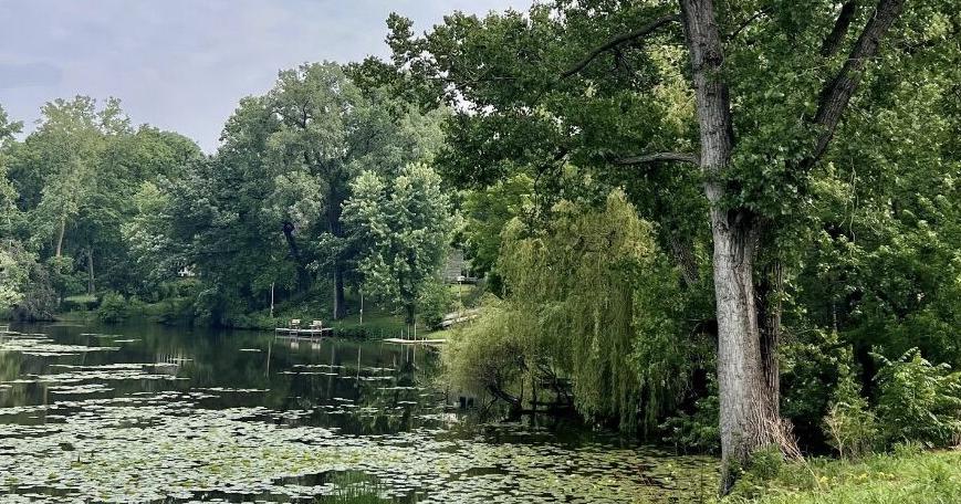 Edina seeks nominations for the 'Edina Tree Awards' | Free ...