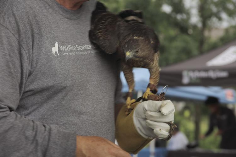 CH Arts and Info Fair features ‘animals nobody loves’ | Columbiaheights ...