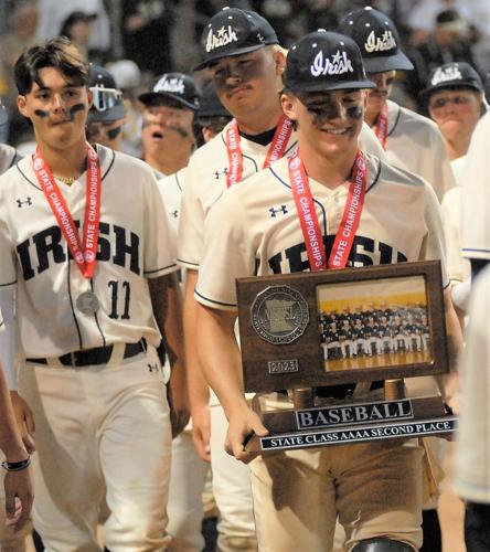 Oh so close for Irish baseball | Sports | hometownsource.com