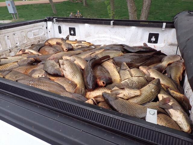 Watershed district sets sights on catching carp | Community ...