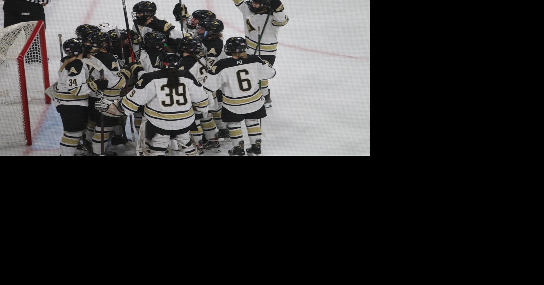 UnionHerald Feature Athletes of the Week: Andover girls hockey's Sara ...