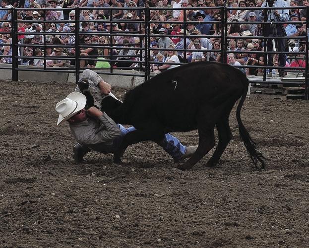 Hamel Rodeo attracts crowd to Corcoran Lions Park | Free ...