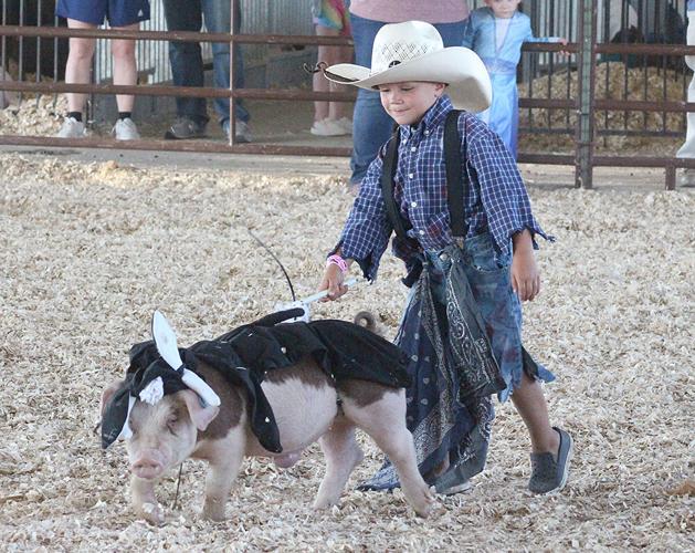 Animal Dress Up Contest | Photos & Video | hometownsource.com