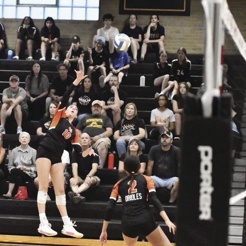 Volleyball surges past Park Center in opener | St. Louis Park ...