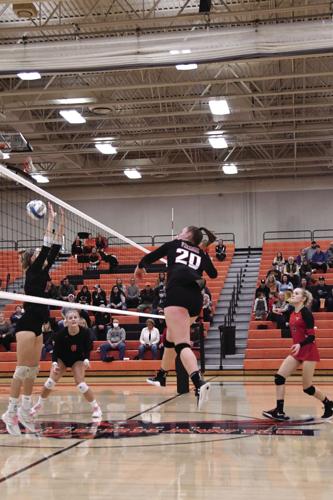 Area volleyball teams see seasons end in sections | Sports ...