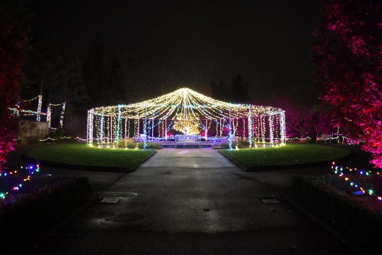 winter lights arboretum