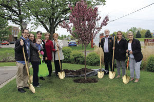 Unity Hospital celebrates 50 years, merger with Mercy | Business ...