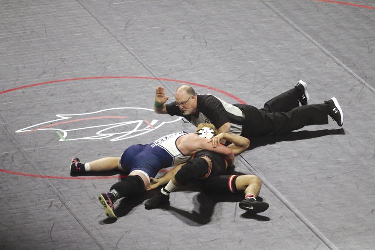 St. Francis' Sherk, Totino-Grace's Kruse capture state wrestling titles ...