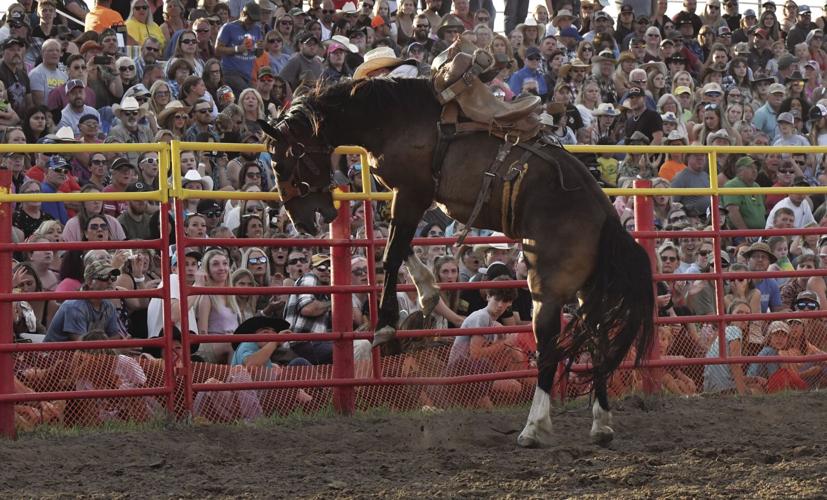 Community enjoys annual Isanti Firefighters Rodeo | Local News ...