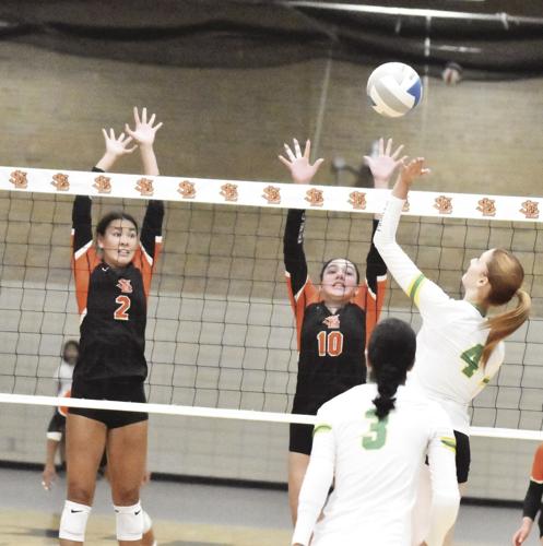 Volleyball surges past Park Center in opener | St. Louis Park ...