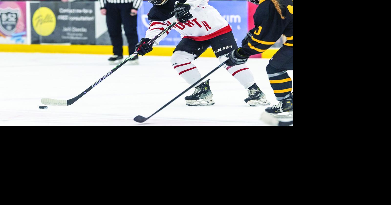 Roundup: Lakeville teams will be part of Hockey Day Minnesota | Sports ...