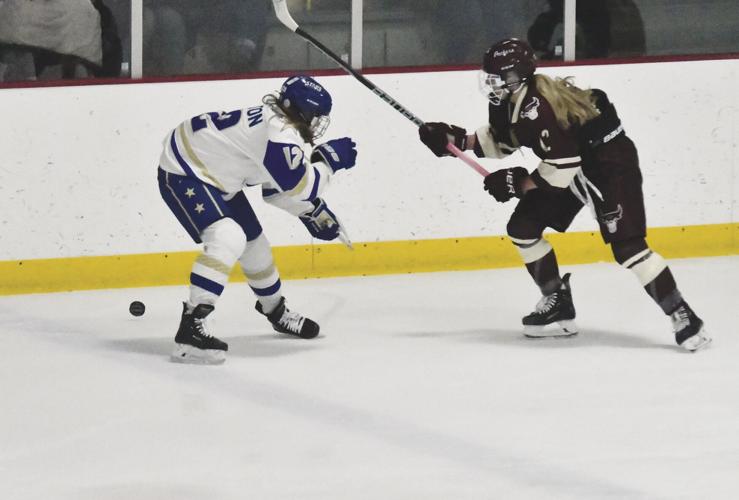 No. 1 Stars break through to state hockey tourney | Bloomington ...