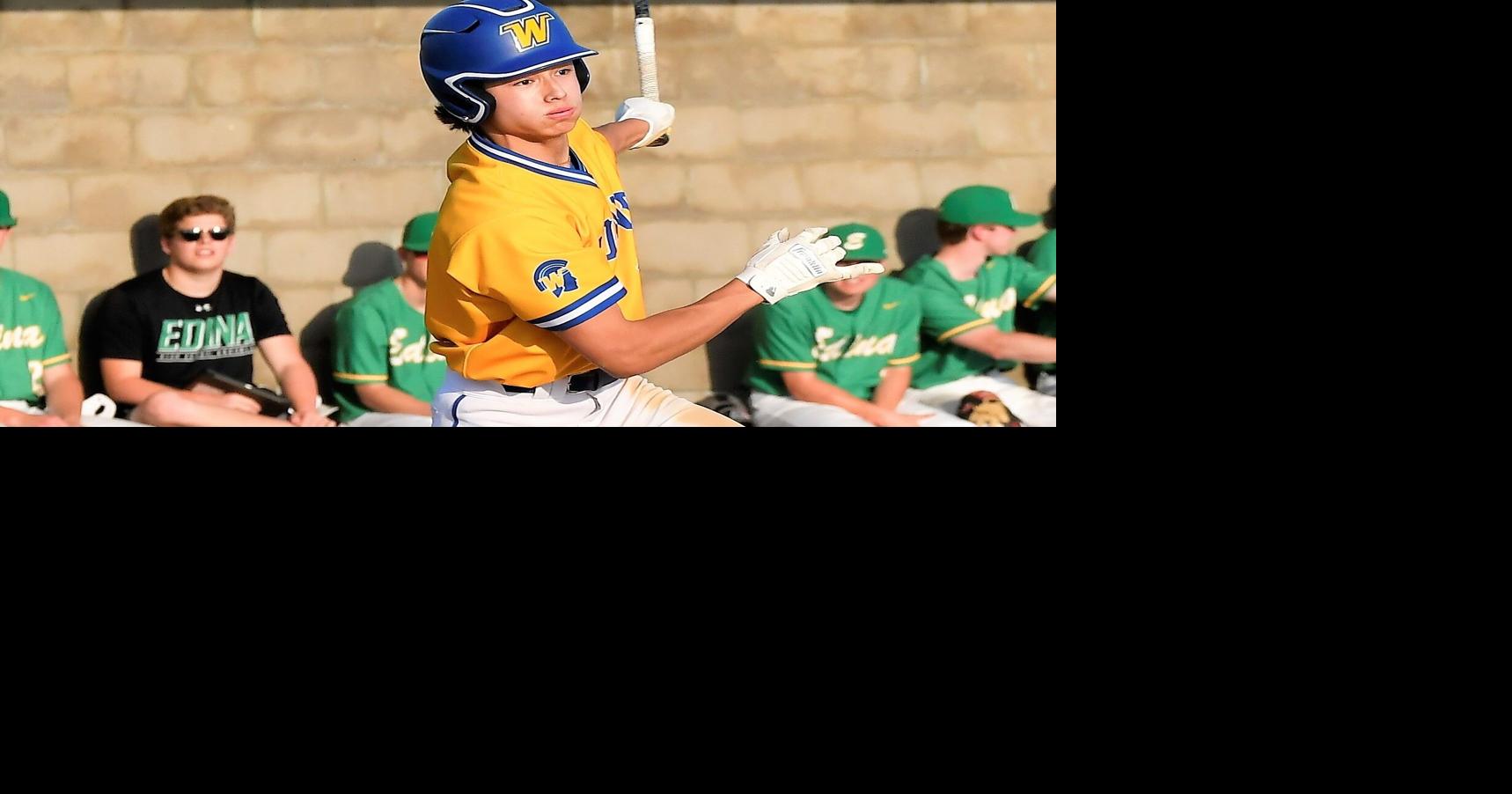 Wayzata baseball team drops opener 1-0 | Sports | hometownsource.com
