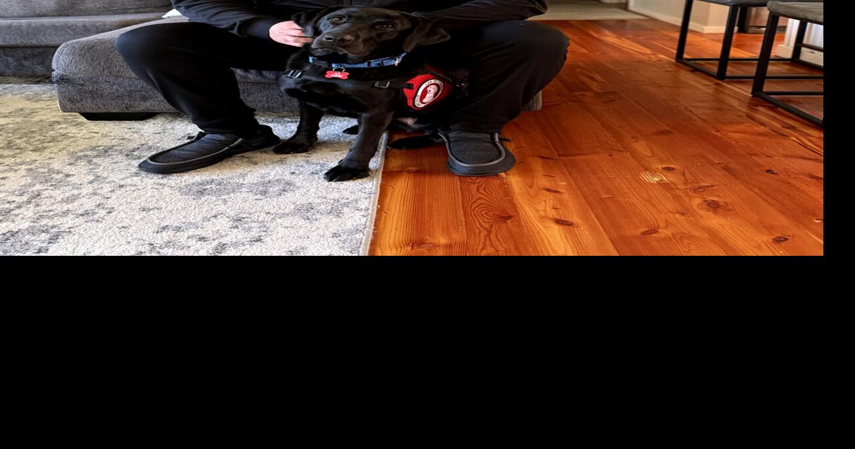 Furry friends to aid in lives of 2 Maple Grove residents | Local News ...