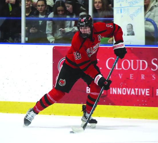 Boys hockey: Five earn all-conference honors for state runner-ups ...