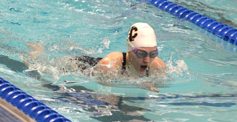 Hylander-Hawks take on section 5AA championships | Sports ...