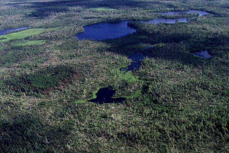 Resilience tested in the Boundary Waters: Rosemount resident’s new book ...