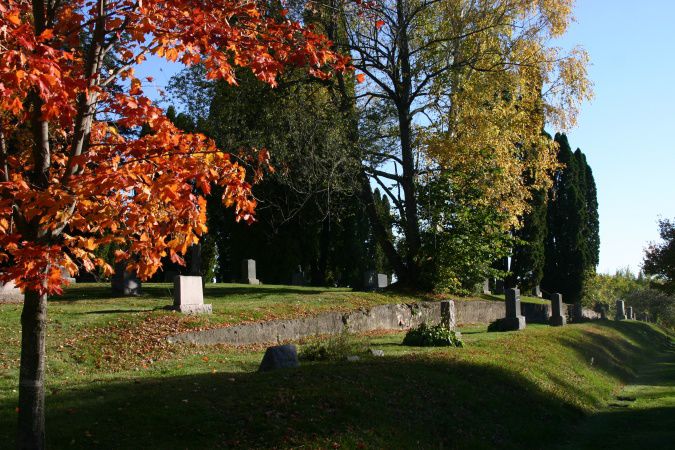 Elim removes arborvitae from Scandia cemetery | Local News ...