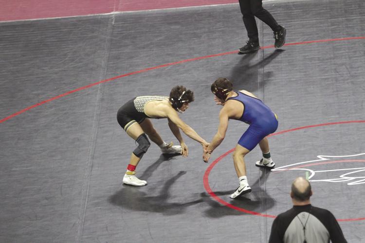 St. Francis' Sherk, Totino-Grace's Kruse capture state wrestling titles ...