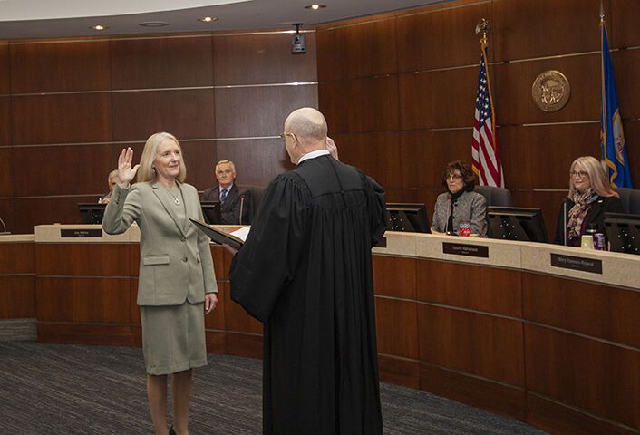 Liz Workman elected Dakota County Board chair | Free | hometownsource.com