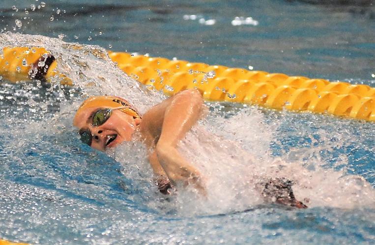 Eagan takes 7th at state swimming | Sports | hometownsource.com