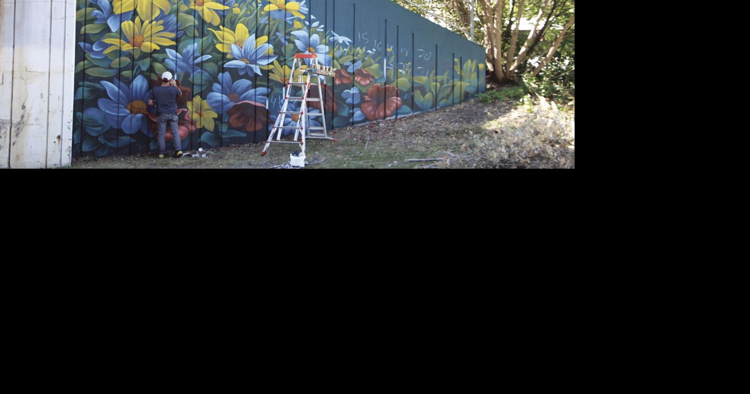 There's another new mural brightening Hopkins infrastructure | Local ...