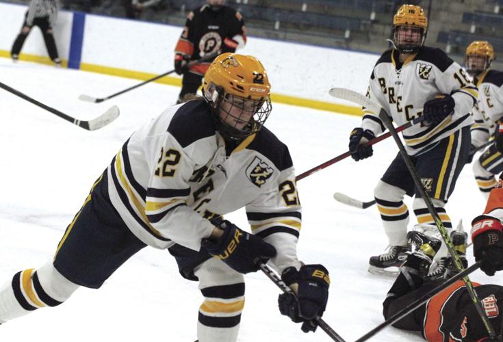 Breck girls hockey ends season in section semifinals | Sports ...