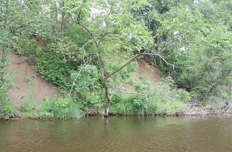 Plans presented for riverbank stabilization project | News ...