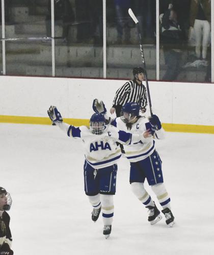 No. 1 Stars break through to state hockey tourney | Bloomington ...