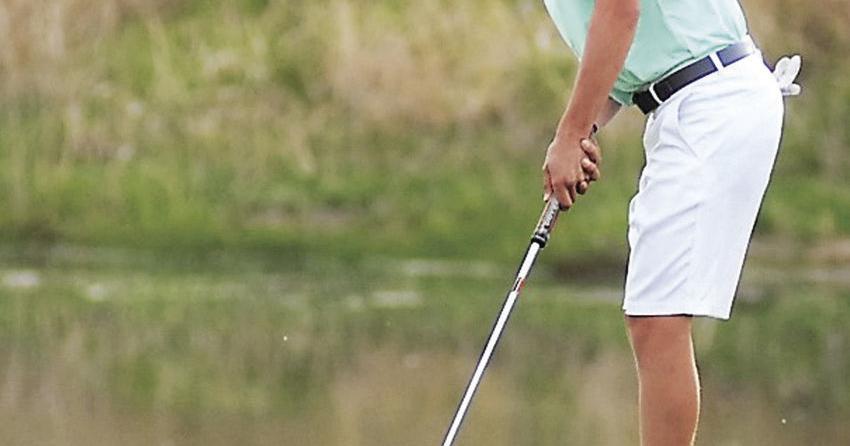 Eastview wraps up South Suburban boys golf title | Sports ...